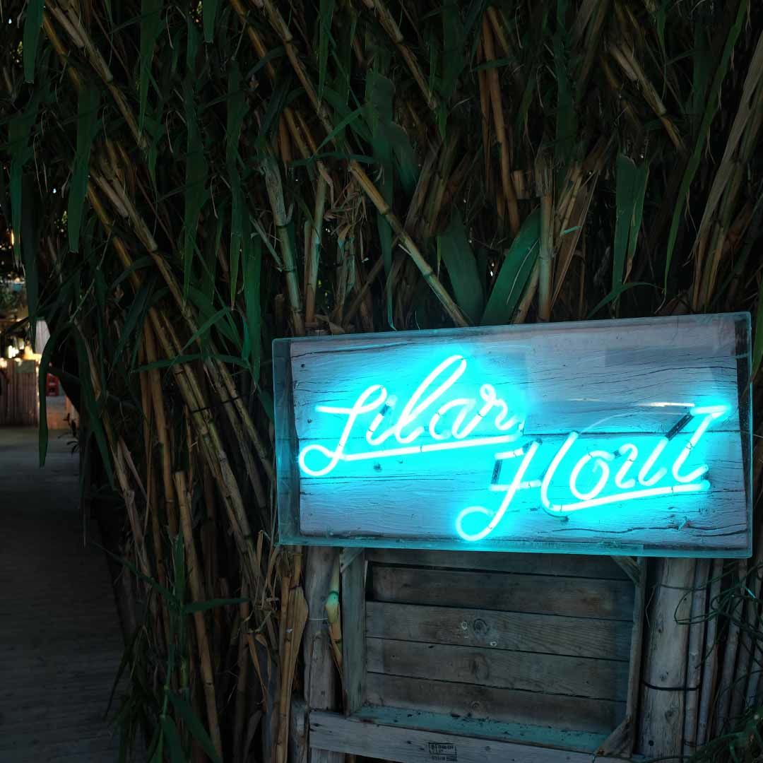 Tilar Hout | us/them/yours